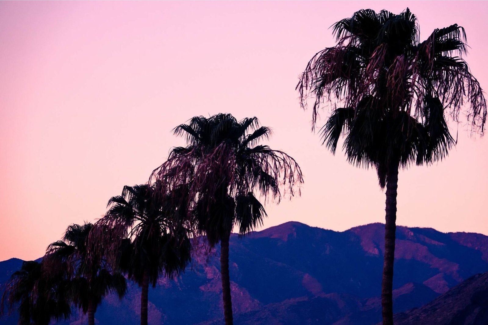 Preppy Posters For Room | Framed Canvas Art